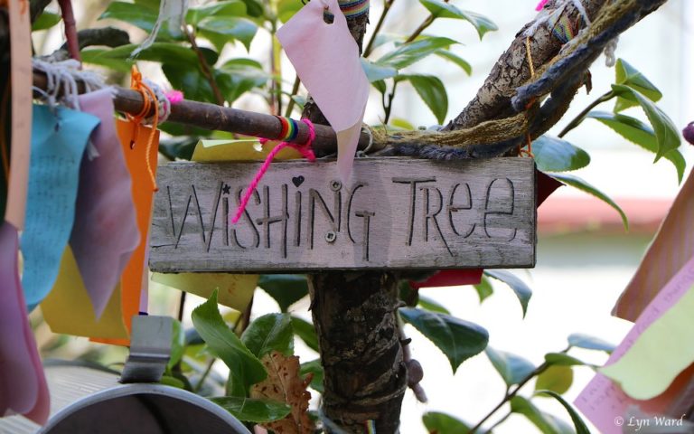 The fascinating culture of Wishing Trees - Fethiye Times