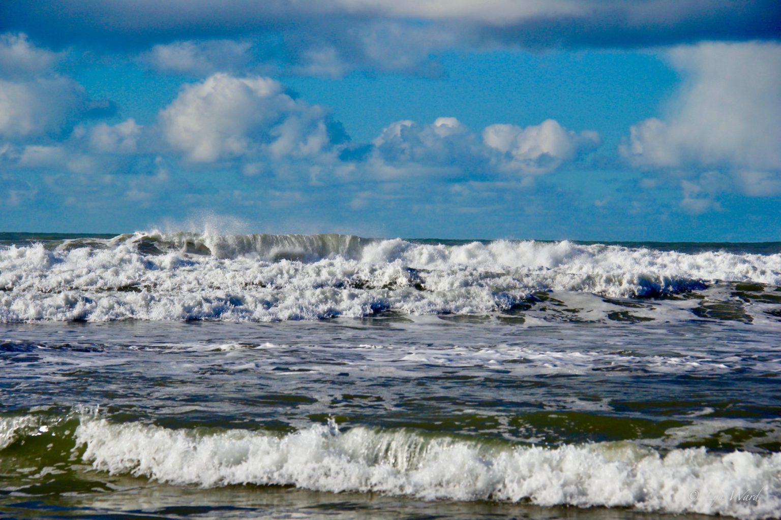World Ocean Day: Embracing the 'Blue Mind' - Fethiye Times